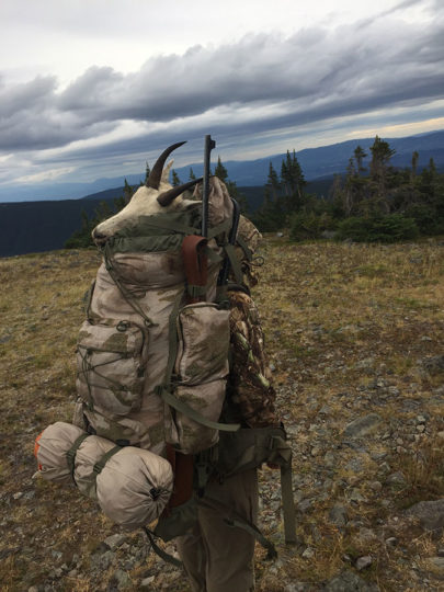 BC Guide Outfitters is one of the top black bear operations in BC