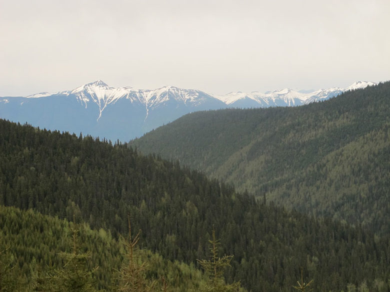 BC Hunting Areas in Central and Northern British Columbia